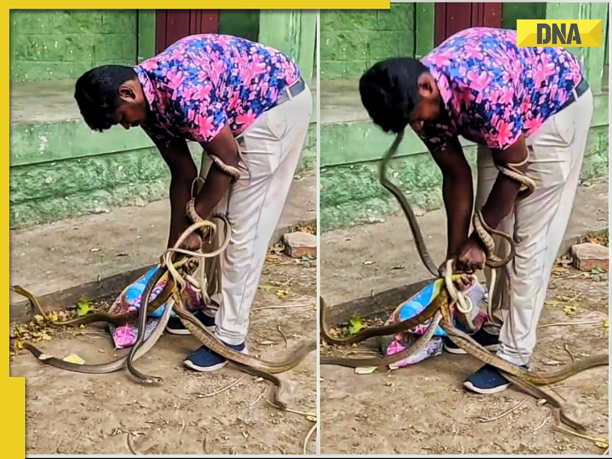 Not for the faint-hearted: Viral video shows man's close call while ...