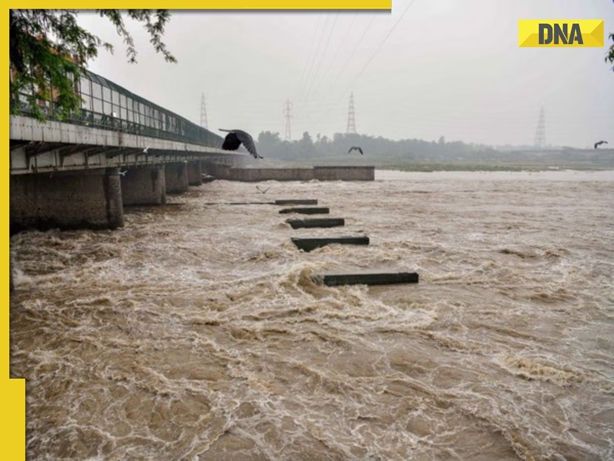 Delhi floods: Rise in Yamuna's water level disrupts life, here's the ground reality of affected ...