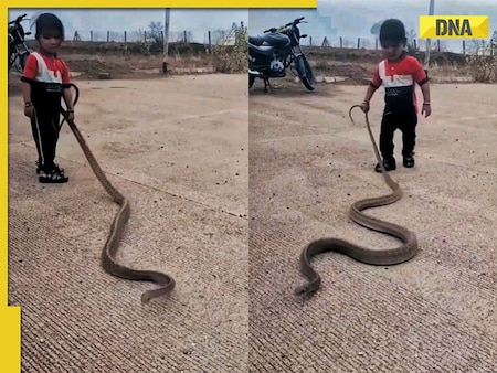 Little boy plays with massive snake, viral video sparks online debate
