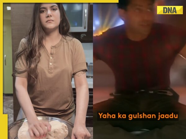Ananya Birla keeps the laughs rolling with 'Birla-rious' meme featuring Salman Khan, watch