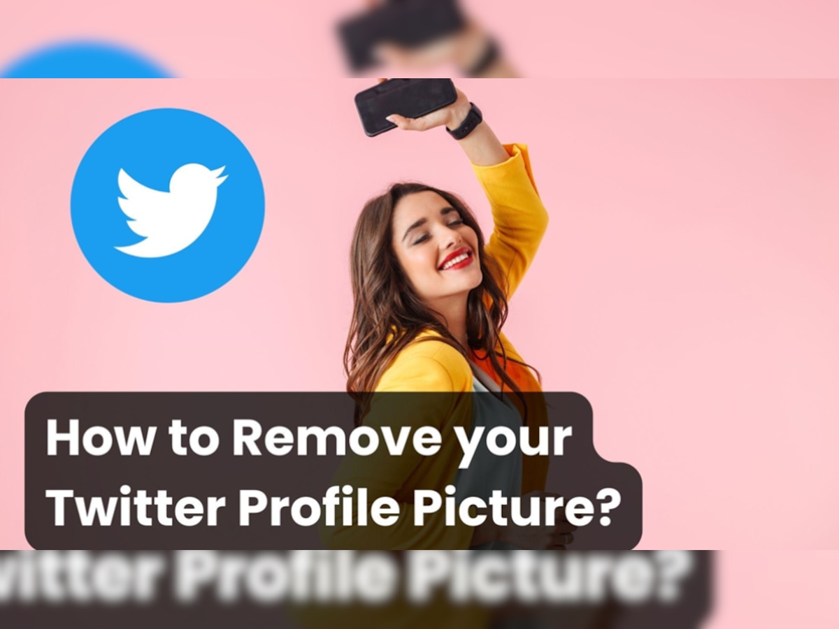 How To Remove Twitter Profile Picture [Photo, Pic]