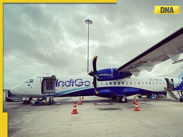 IndiGo pilot collapses at boarding gate, dies before departure of Pune ...