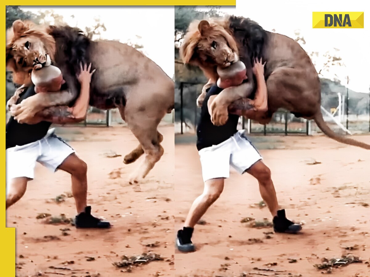 Heartwarming embrace: Man and majestic lion share adorable hug, viral ...