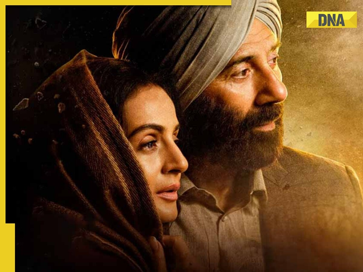 Gadar 2 box office collection: Sunny Deol, Ameesha Patel film refuses to slow down, mints Rs 336 ...