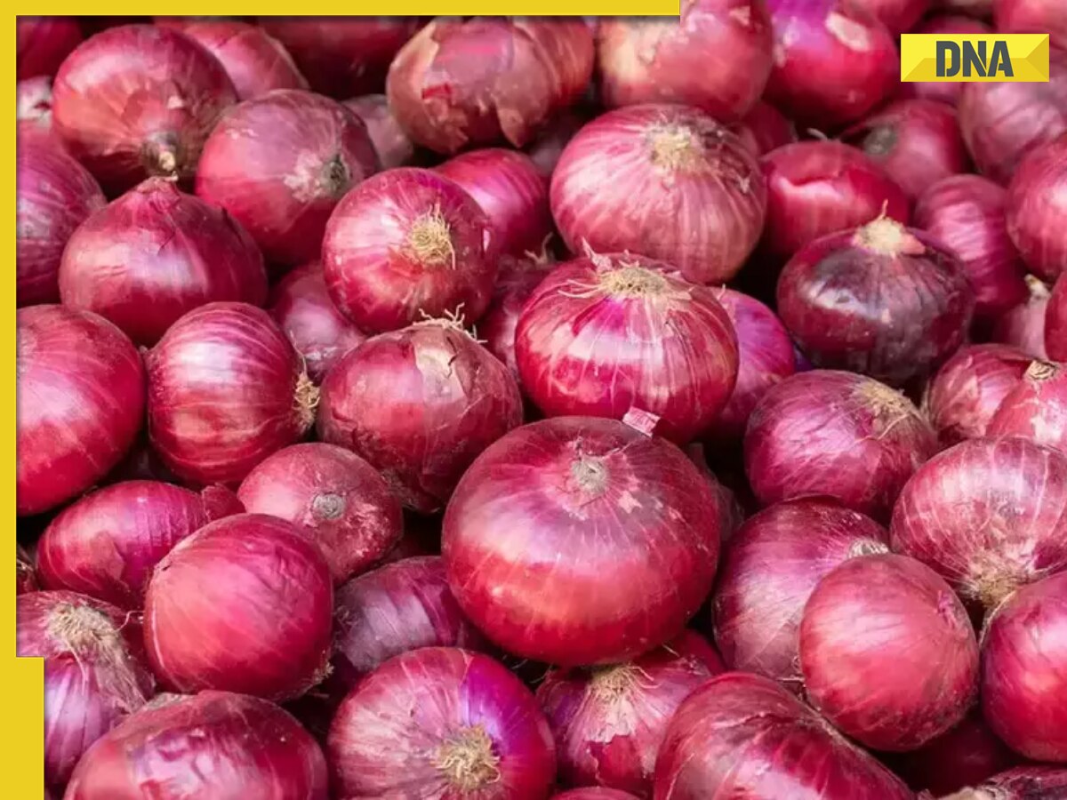 Onion price hike explained: Why has Centre decided to impose 40 percent ...