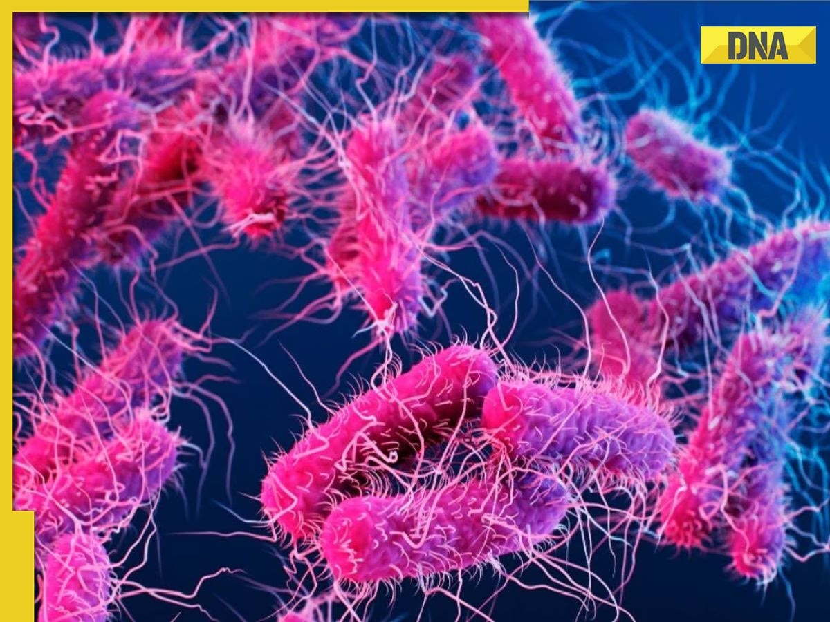 Listeria infection: All you need to know about bacterial outbreak ...