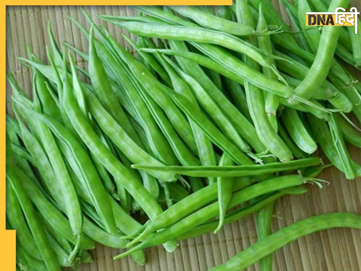 Gawar Phali Benefits: कोलेस्ट्रॉल से डायबिटीज तक के मरीजों के लिए वरदान है ये हरी सब्जी, डाइट ...