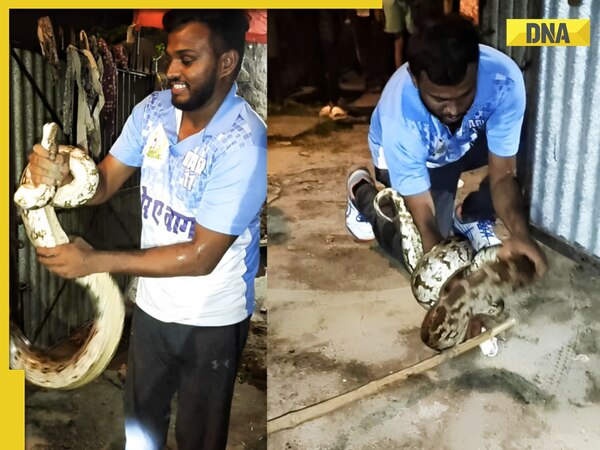 Viral video: Man's jaw-dropping tussle with enormous python stuns ...