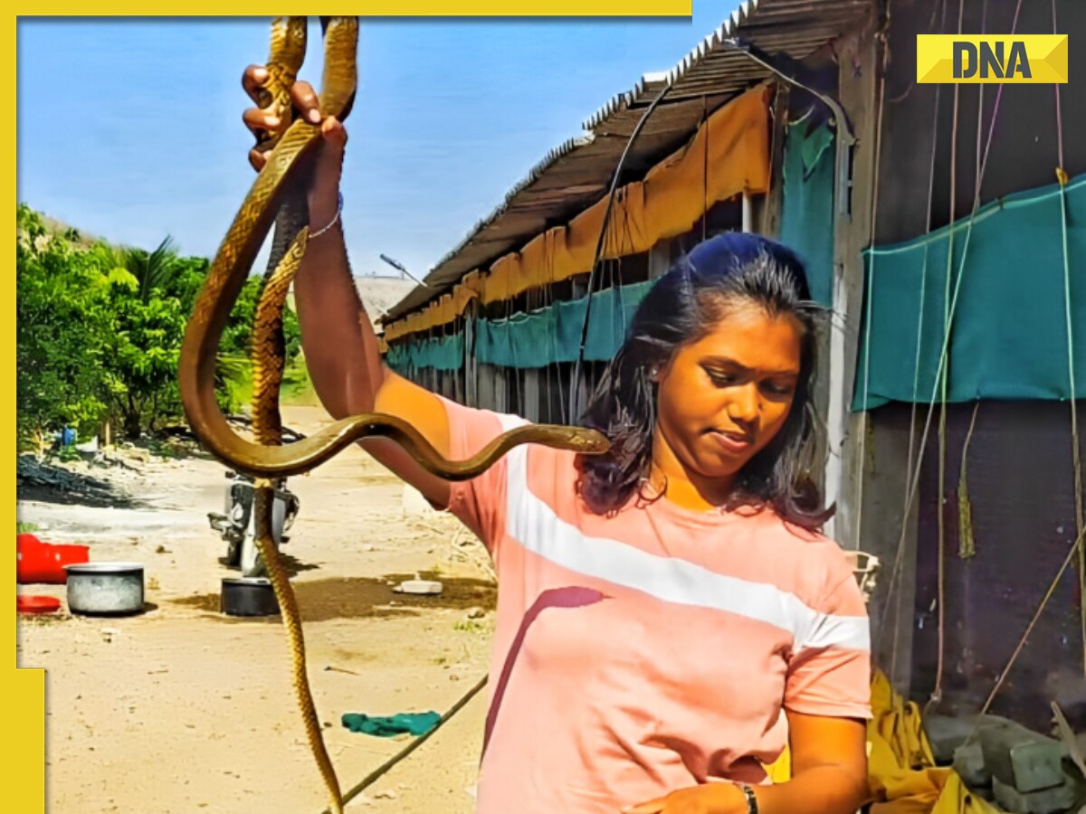 Viral video: Girl's daring confrontation with aggressive snake ends in ...