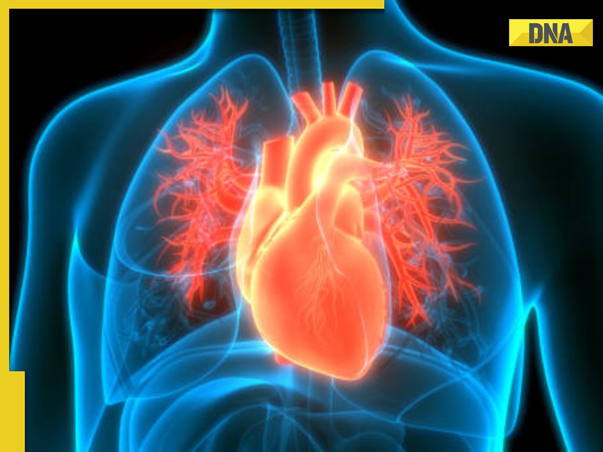 Hydration for heart health: Can drinking enough water reduce ...