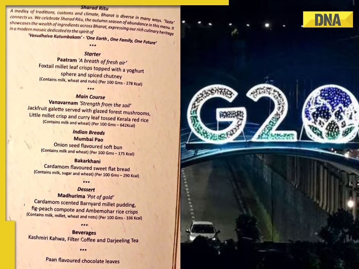 G20 Summit 2023: What's on the menu for dinner? Check list