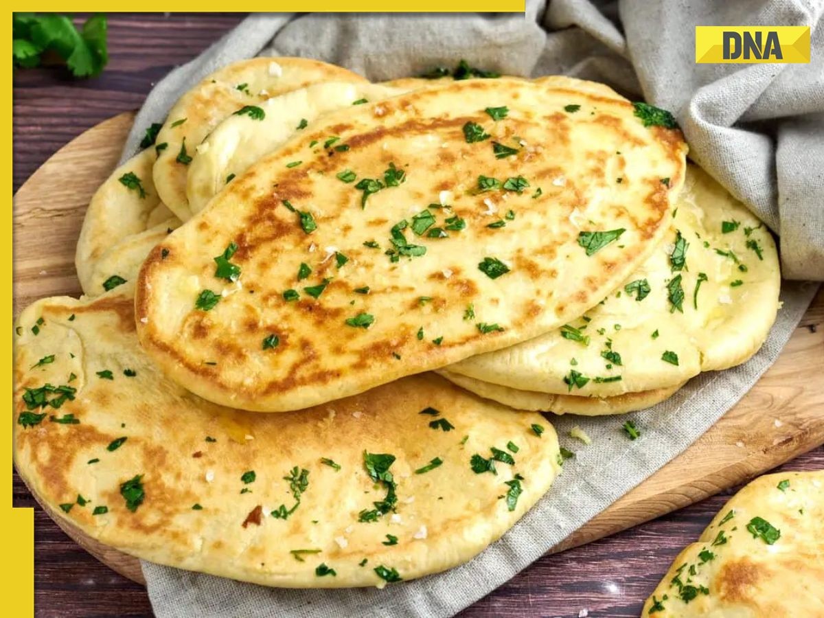 Butter garlic naan, paratha, and more named among 50 best breads in the ...