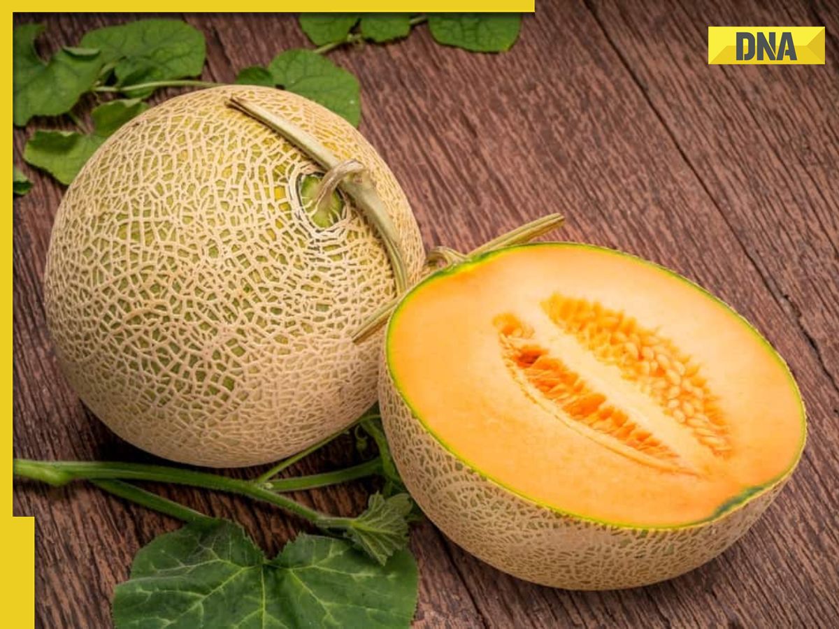 World s most expensive Melon costs more than Mahindra Thar in India check its price