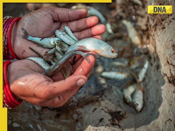 Woman loses all four limbs after eating contaminated fish, deets inside