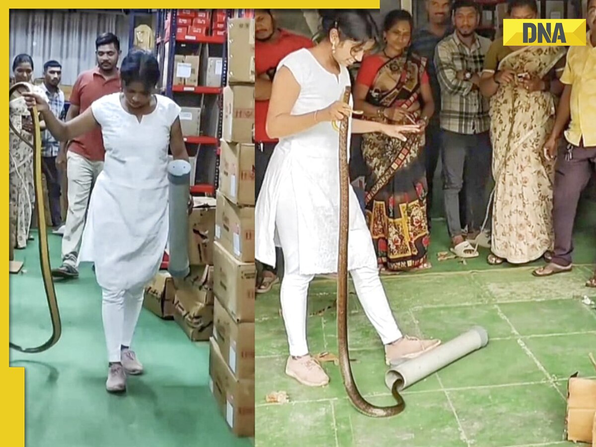 Viral video: Fearless woman's daring snake rescue leaves internet ...