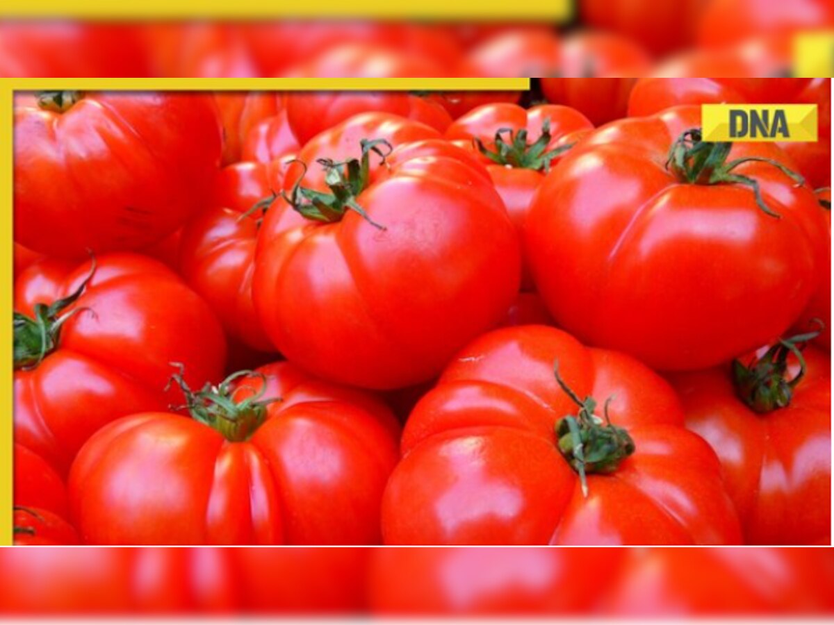 From Rs 200/kg to Rs 2/kg: Tomato prices fall amid bumper crop, farmers ...