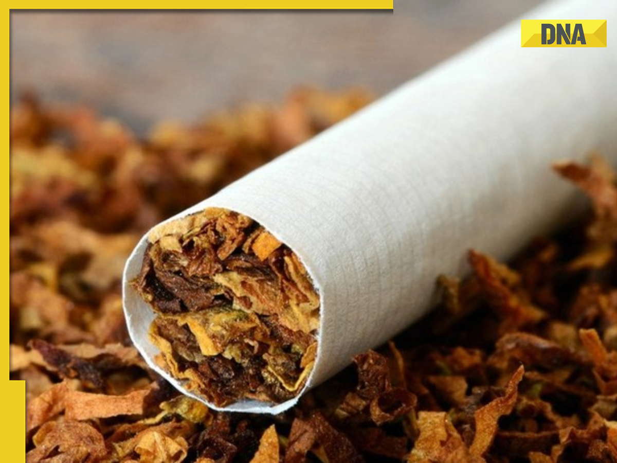 World Lung Day: Need for alternative less harmful products that can ...