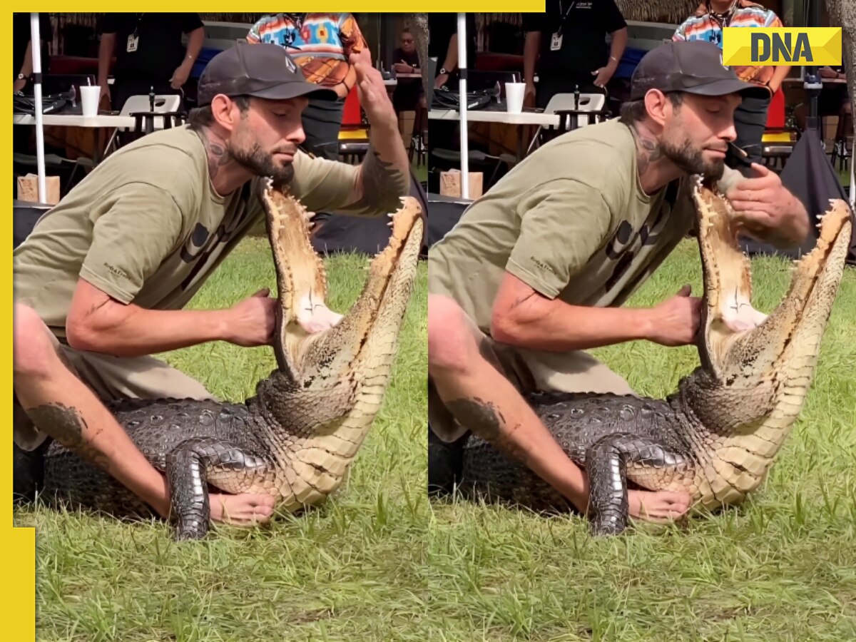 Viral video: Man attempts to insert hand into crocodile's jaws, what ...