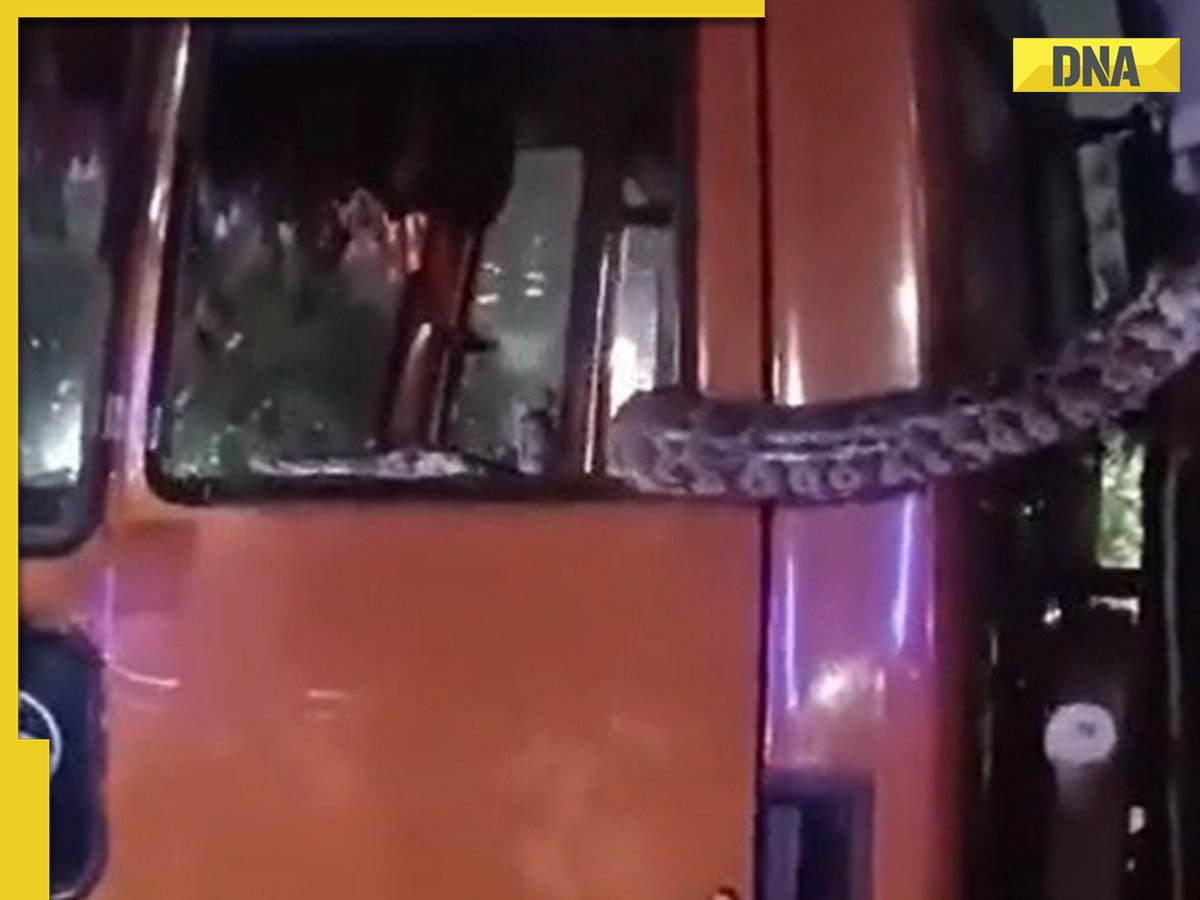 Noida: UP Police rescues eight-foot python from truck, watch