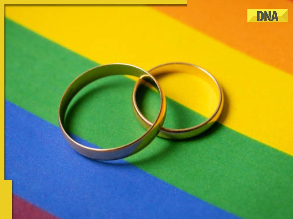 Dna Explainer Indias Legal Stand On Same Sex Marriages And The 7761