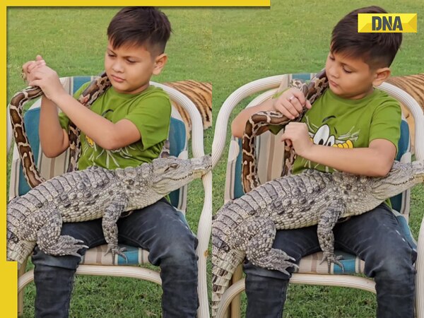 Viral video: Little boy plays with giant snake, baby crocodile and ...