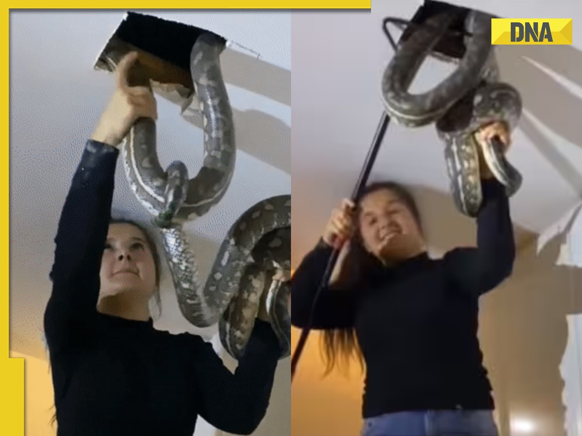 Australian woman grabs two snakes emerging from ceiling, viral video ...