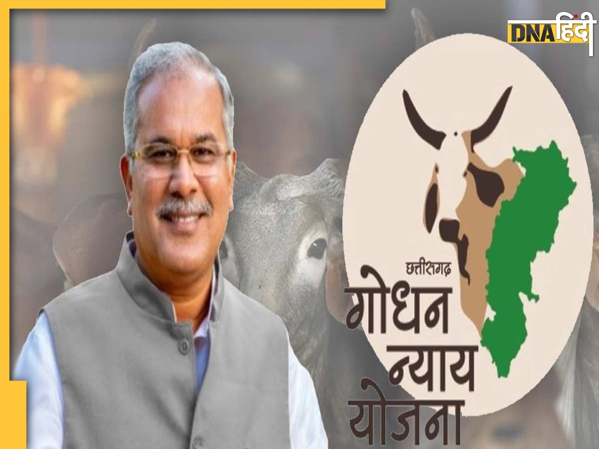 Opinion: गोधन न्याय योजना: किसानों और गोवंशों के चहुमुंखी कल्याण का ...