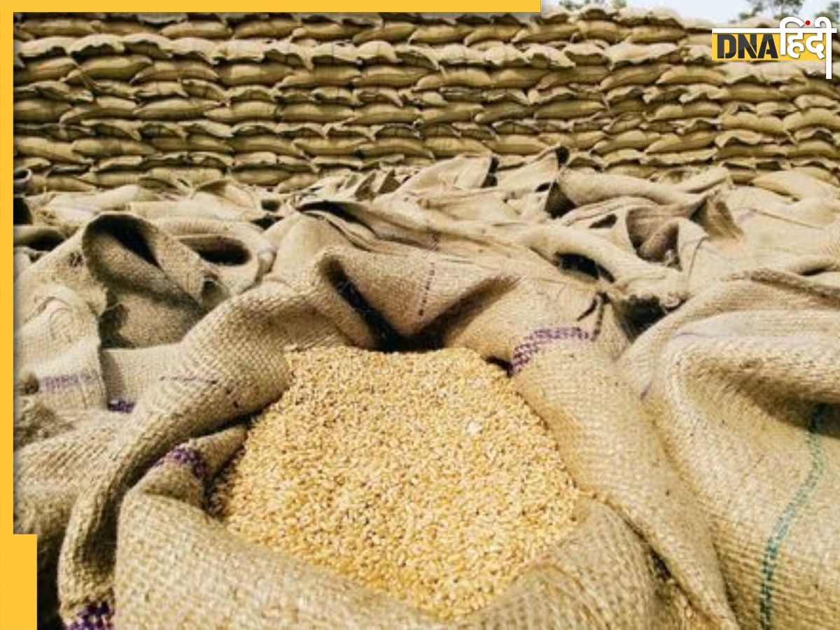 Bharat Atta: बढ़ती महंगाई के बीच मोदी सरकार ने 2 रुपये सस्ता किया भारत ...