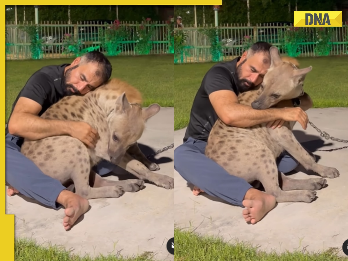 Viral video: Man's unnerving cuddle session with chained hyena scares internet