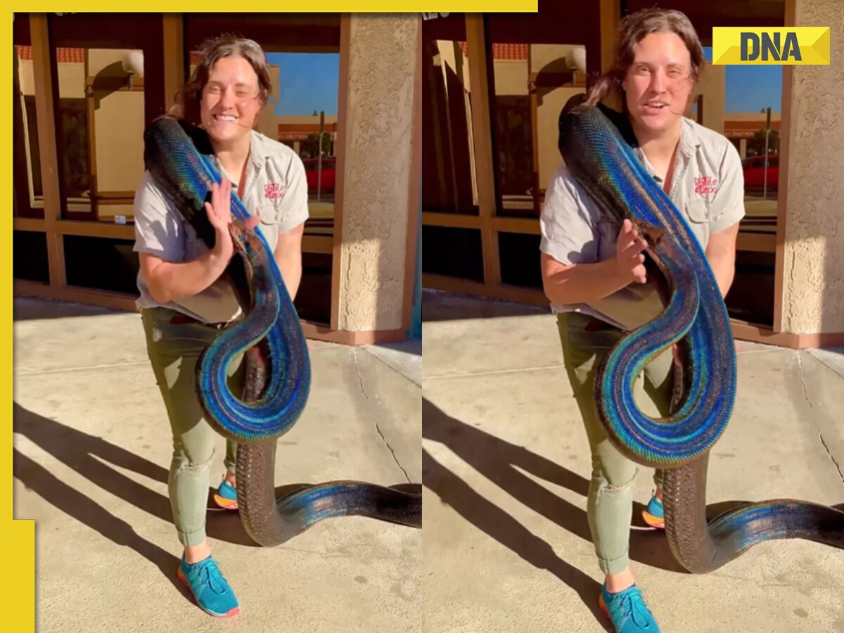 Viral video: Fearless woman grapples massive rainbow python in her arms ...