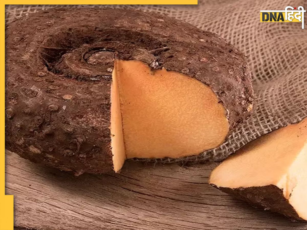 Jimikand Health Benefits: दिवाली की रात क्यों बनती है जिमीकंद की सब्जी ...