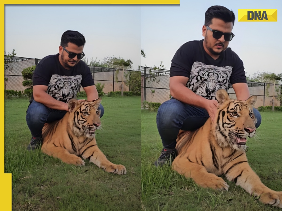 Outrage erupts as Pakistani YouTuber sits on giant tiger for Instagram ...