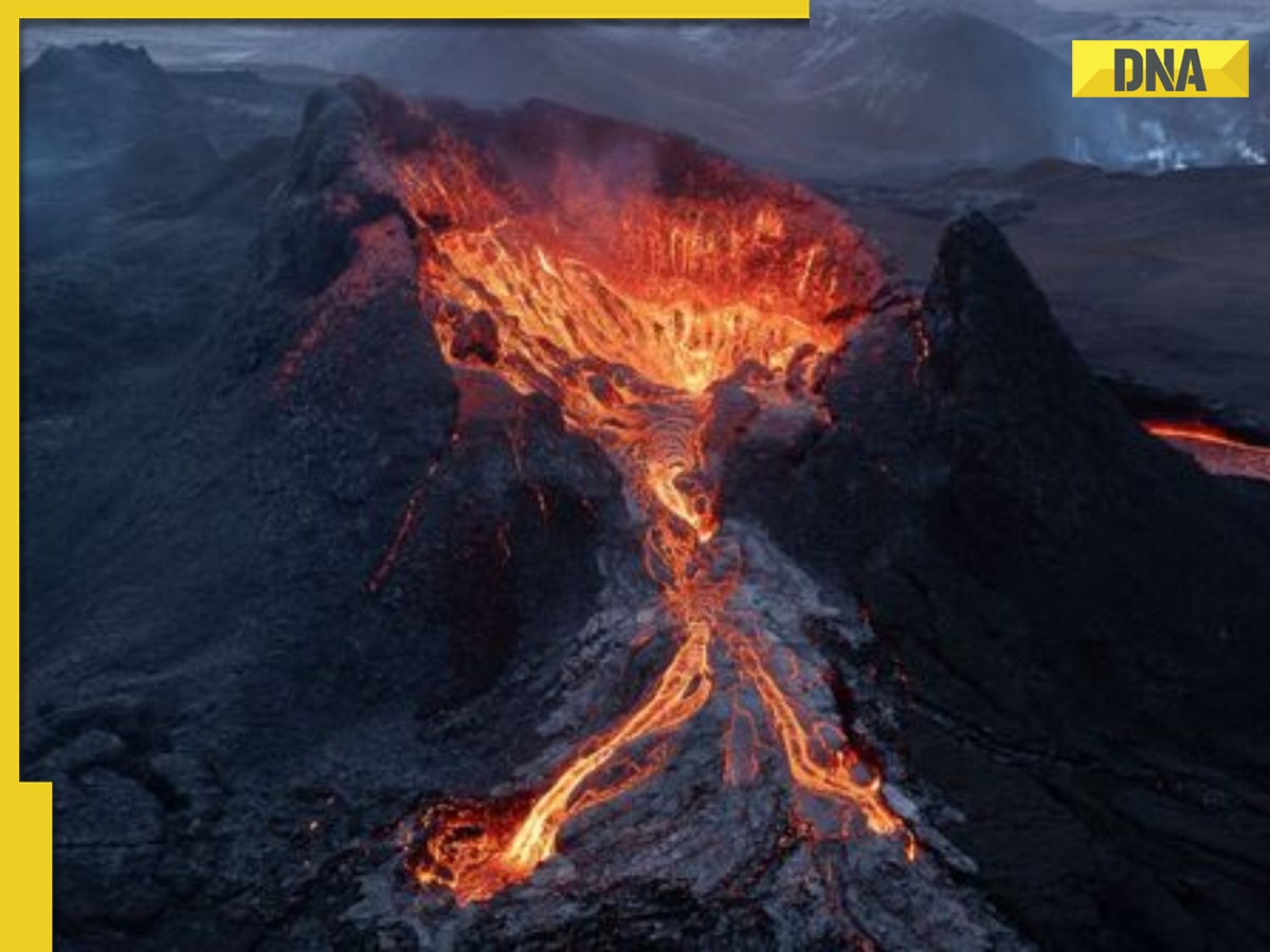 800 quakes in 14 hours, 24,000 tremors: Iceland declares state of ...