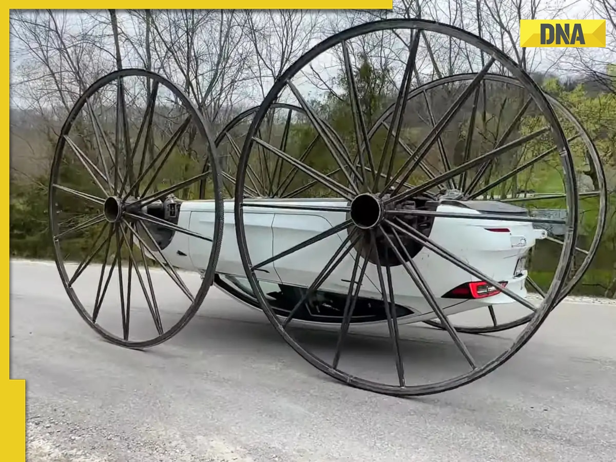 Viral video: Man installs 10-foot buggy wheels on Tesla for jaw ...