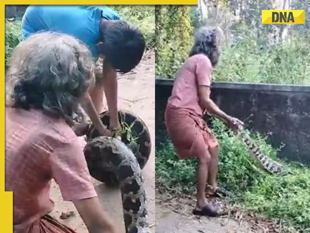 Viral video: Fearless teen and elderly man team up to rescue massive ...