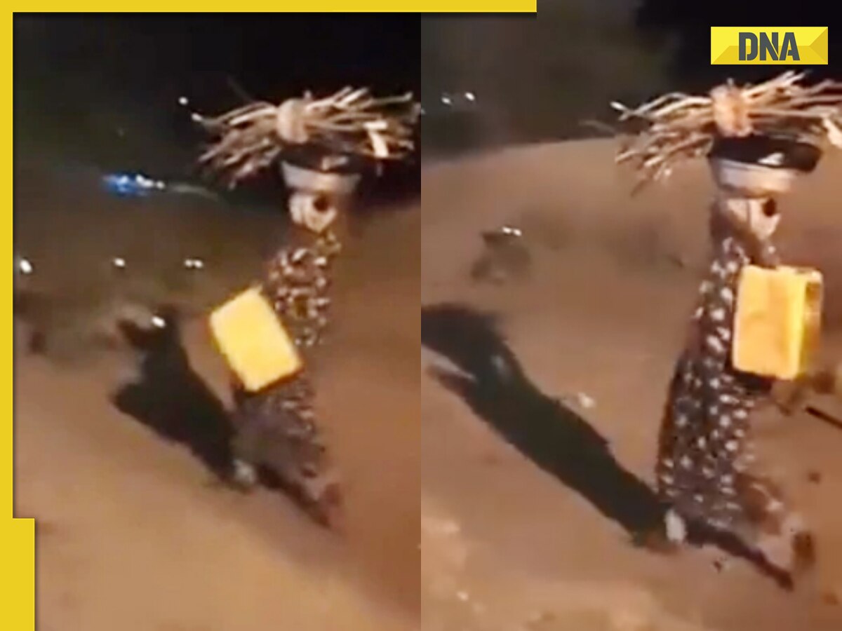 Viral video: Woman fearlessly walks past pack of hyenas, internet is stunned