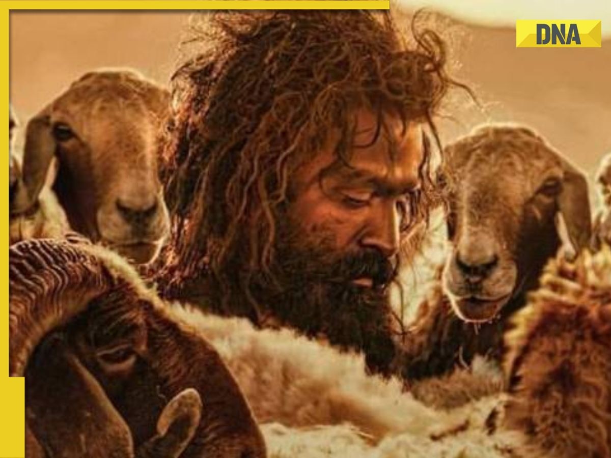 The Goat Life: Prithviraj Sukumaran's much-delayed survival adventure ...