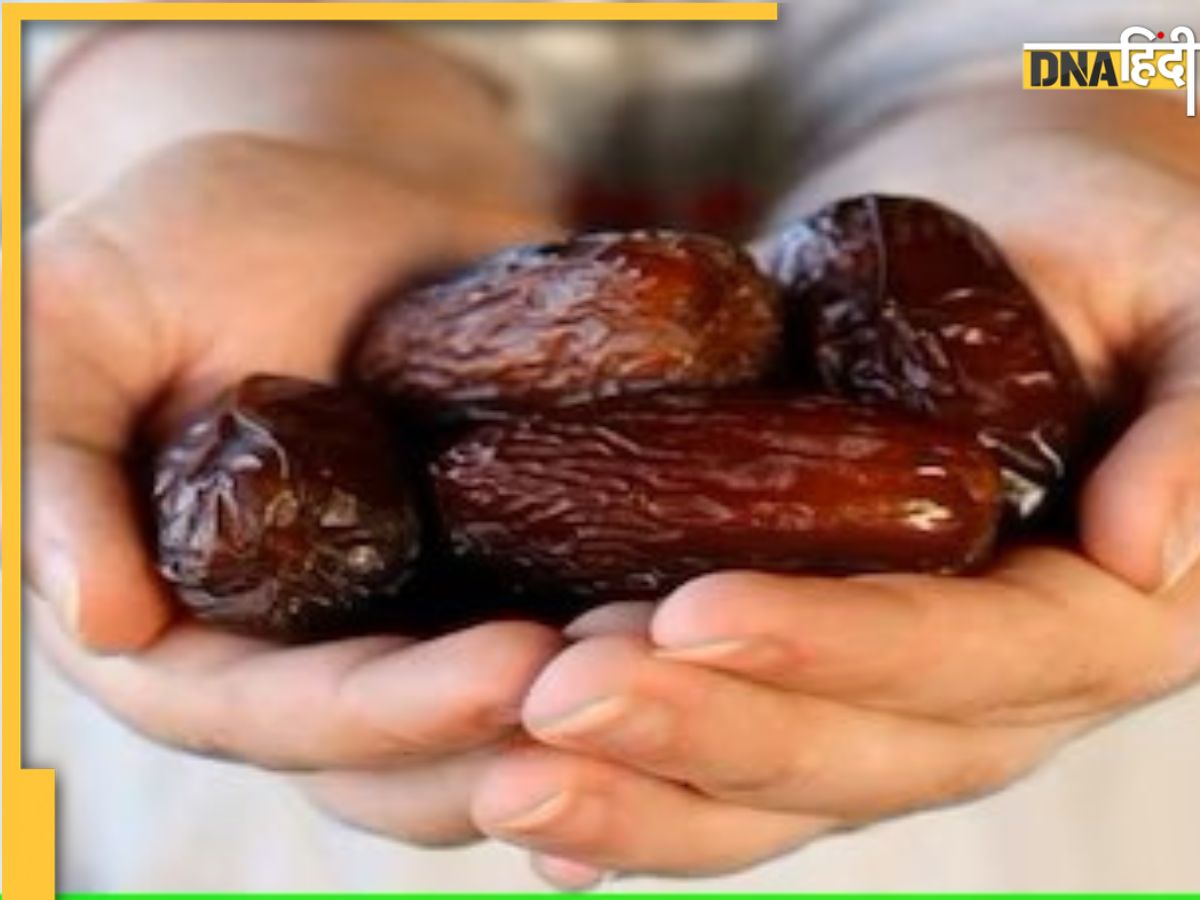 Dates For Brain: बुद्धि की 'धार' बढ़ाने के लिए रोज खाएं ये एक ड्राई ...