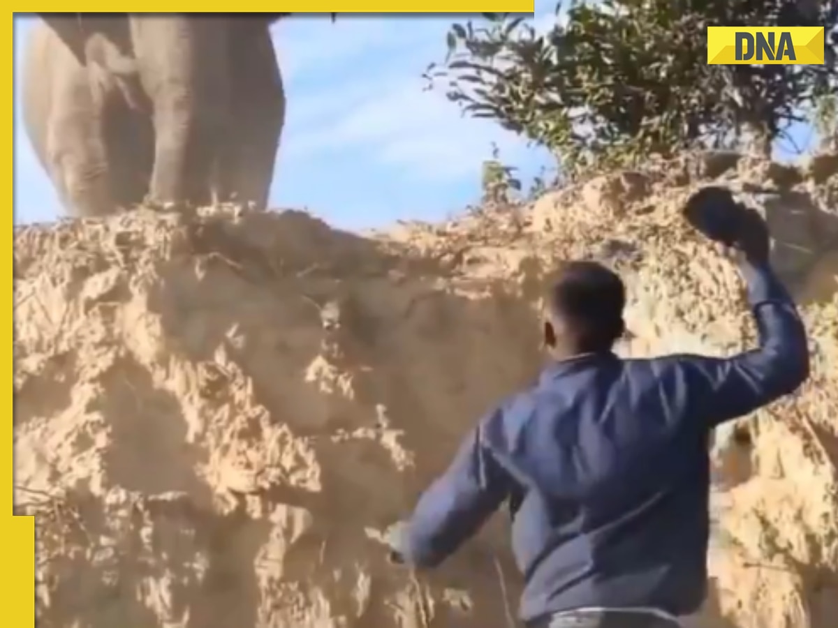 Men confront charging elephant with slippers, viral video sparks online ...