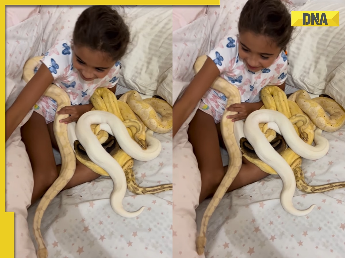Little girl stuns internet by fearlessly handling dozens of snakes ...
