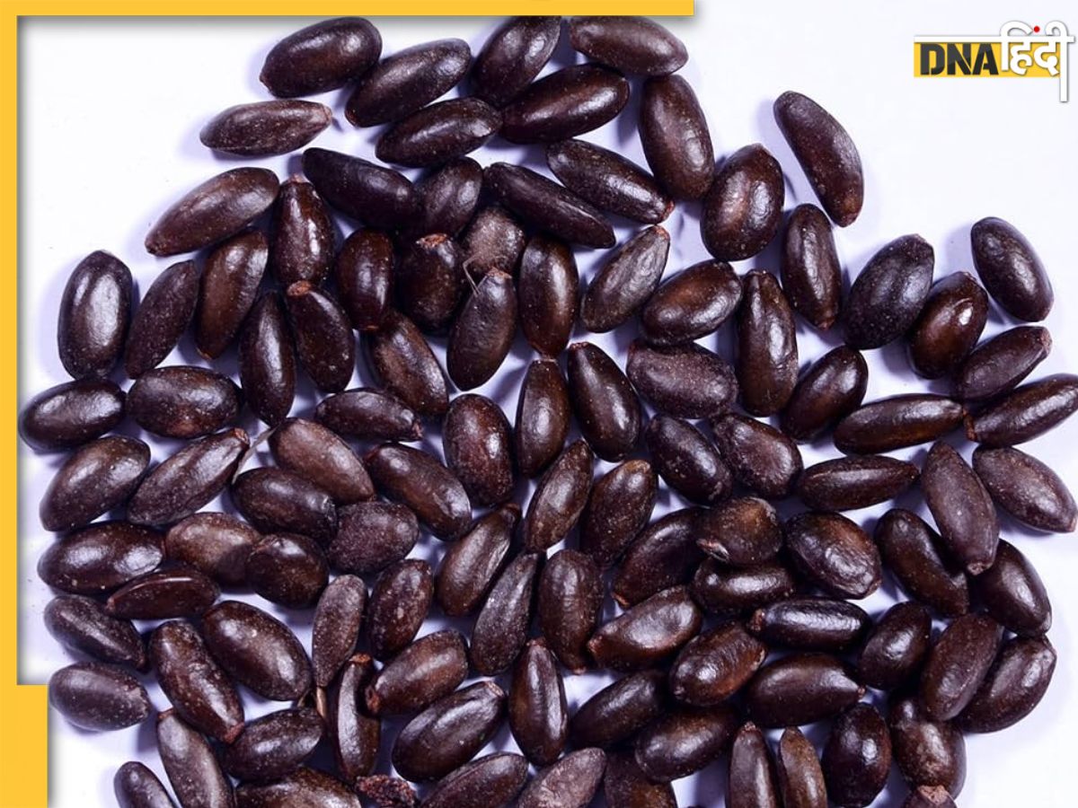 Harmful Seeds: पेट में इस फल का बीज साइनाइड की तरह करता है काम, ऑक्सीजन ...