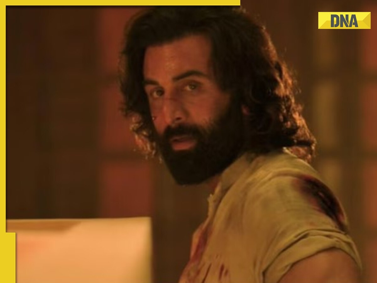 Animal box office collection day 15: Ranbir Kapoor-starrer is ...