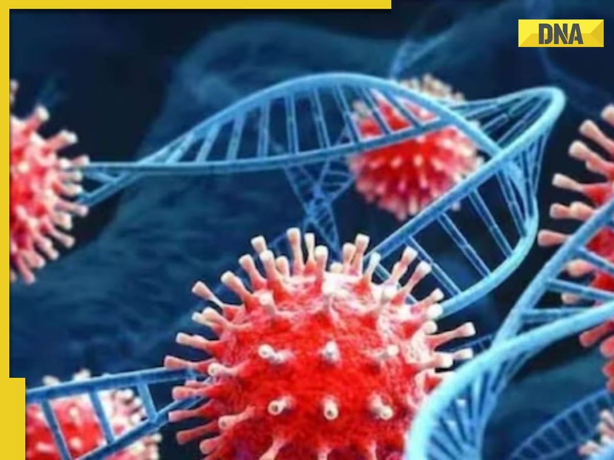 WHO classifies new Covid strain JN.1 as 'variant of interest', says it ...