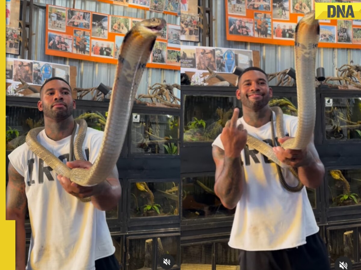 Viral video shows fearless man posing with giant king cobra, internet ...