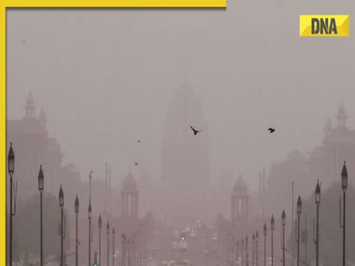 Delhi-NCR cold wave: Air quality remains in 'severe' category, thick fog engulfs region