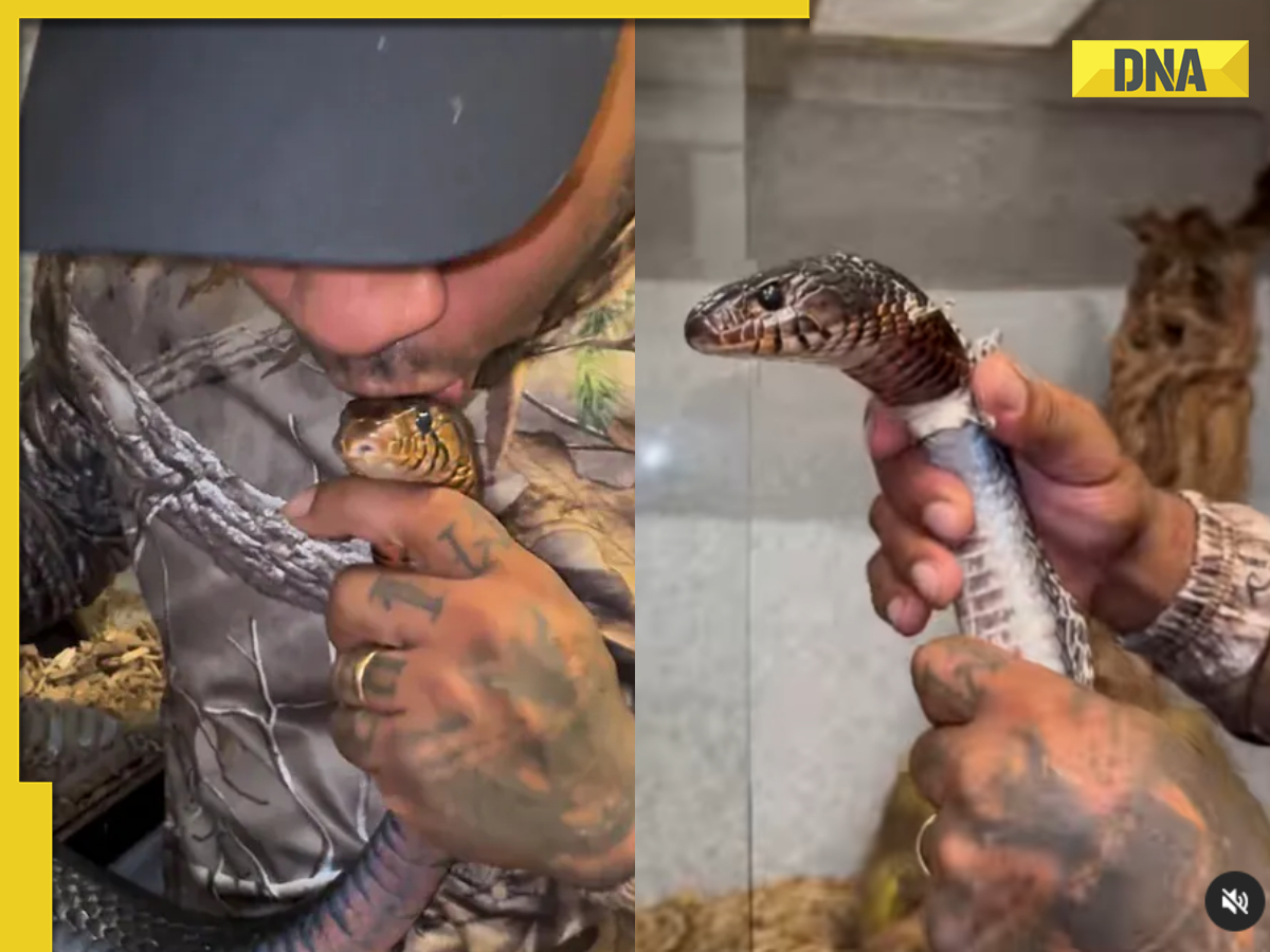 Man kisses and helps snake shed its skin, viral video leaves internet divided