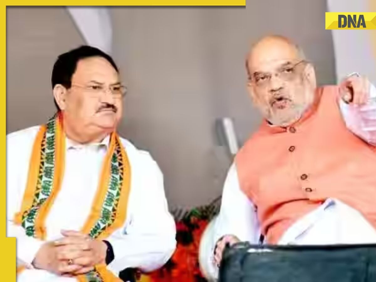 Lok Sabha Elections 2024: Amit Shah, JP Nadda outline BJP's campaign strategy at party meet