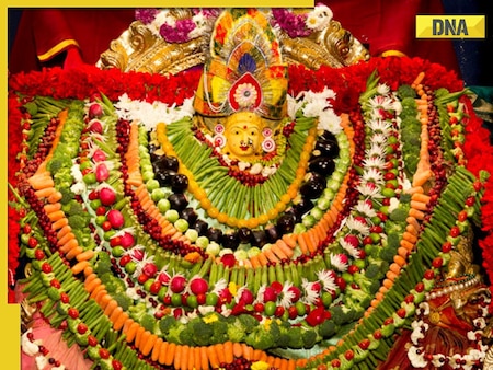Shakambhari Navratri 2024: Date, shubh muhurat, puja timings, rituals ...