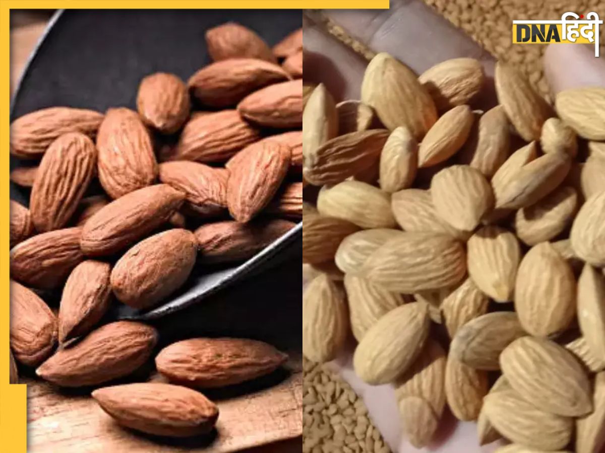 How to Identify Fake Almonds: बाजार में धड़ल्ले से बिक रहा नकली बादाम ...