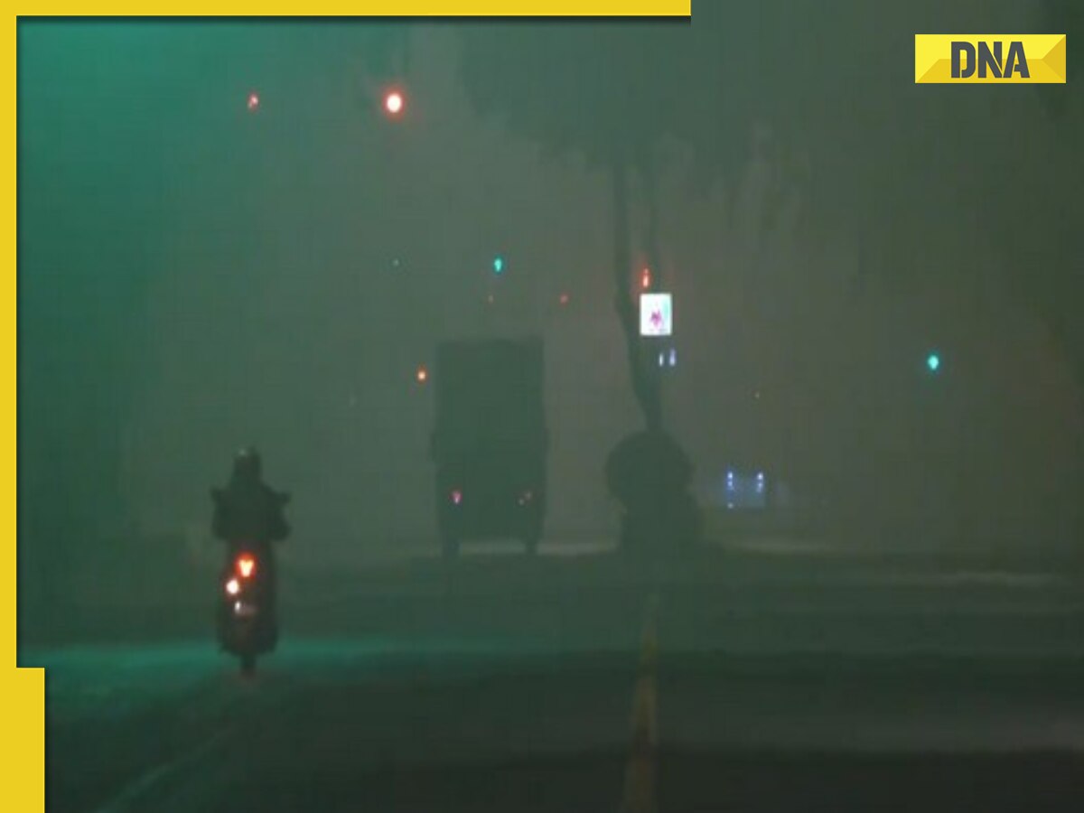 Weather update: Delhi-NCR reels under cold wave, dense fog, 'orange alert' issued